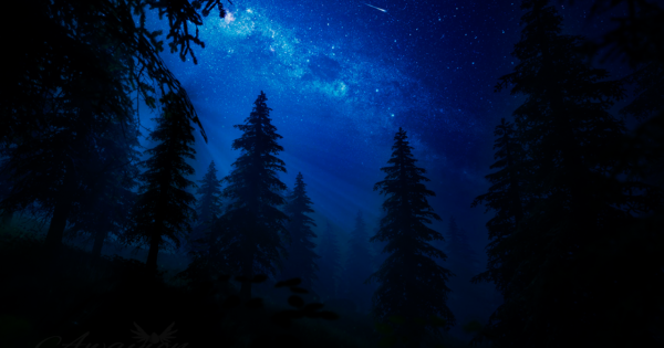 Calm night sky ambiance with gentle chirping crickets for sleep ...